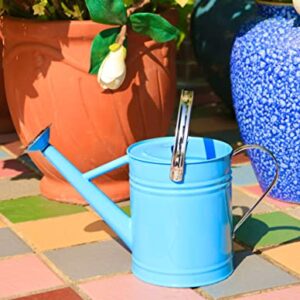 Joequality Watering Can for Outdoor&Indoor Plants，Galvanized Steel Watering Can with Stainless Steel Handles，1 Gallon Metal Plant Watering Pot Gardening Tools，Blue