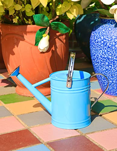 Joequality Watering Can for Outdoor&Indoor Plants，Galvanized Steel Watering Can with Stainless Steel Handles，1 Gallon Metal Plant Watering Pot Gardening Tools，Blue