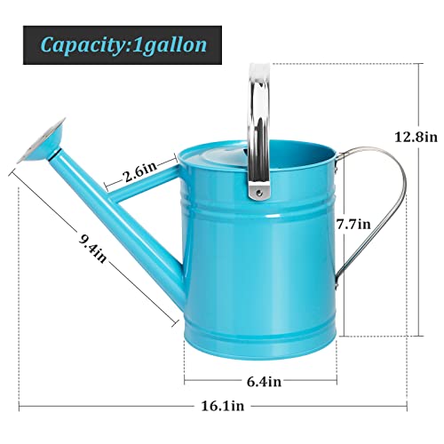 Joequality Watering Can for Outdoor&Indoor Plants，Galvanized Steel Watering Can with Stainless Steel Handles，1 Gallon Metal Plant Watering Pot Gardening Tools，Blue