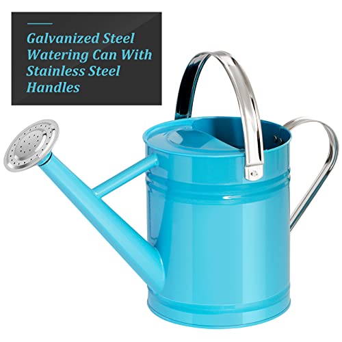 Joequality Watering Can for Outdoor&Indoor Plants，Galvanized Steel Watering Can with Stainless Steel Handles，1 Gallon Metal Plant Watering Pot Gardening Tools，Blue