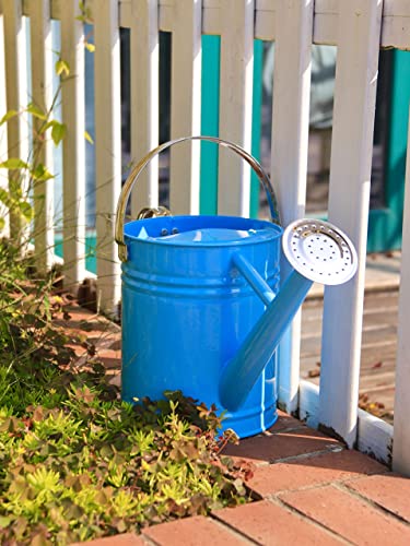 Joequality Watering Can for Outdoor&Indoor Plants，Galvanized Steel Watering Can with Stainless Steel Handles，1 Gallon Metal Plant Watering Pot Gardening Tools，Blue