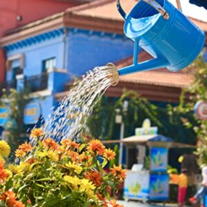 Joequality Watering Can for Outdoor&Indoor Plants，Galvanized Steel Watering Can with Stainless Steel Handles，1 Gallon Metal Plant Watering Pot Gardening Tools，Blue