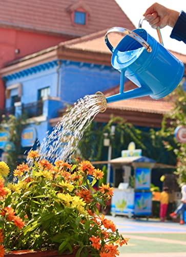 Joequality Watering Can for Outdoor&Indoor Plants，Galvanized Steel Watering Can with Stainless Steel Handles，1 Gallon Metal Plant Watering Pot Gardening Tools，Blue