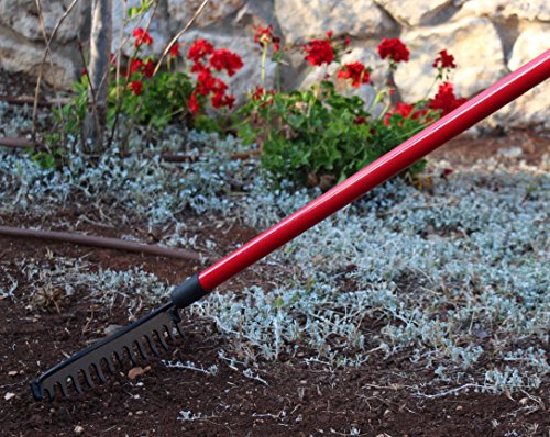 TABOR TOOLS J205A Level Head Rake with Strong Long 54 Inch Fiberglass Handle, 14-Tine Garden Rake.