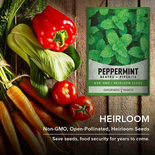 Peppermint Seeds for Planting is A Heirloom, Open-Pollinated, Non-GMO Herb Variety- Great for Indoor and Outdoor Gardening and Herbal Tea Gardens by Gardeners Basics