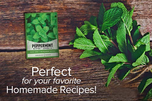 Peppermint Seeds for Planting is A Heirloom, Open-Pollinated, Non-GMO Herb Variety- Great for Indoor and Outdoor Gardening and Herbal Tea Gardens by Gardeners Basics