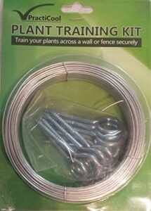 practicool 98 feet galvanised garden wire, bonus 10 vine eye screws