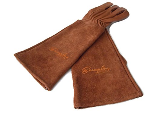 Rose Pruning Gloves for Men and Women - Thorn Proof Goatskin Leather Gardening Gloves with Gauntlet (Extra Large, Brown)