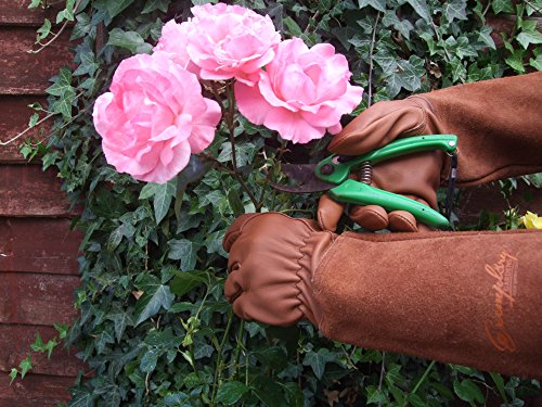 Rose Pruning Gloves for Men and Women - Thorn Proof Goatskin Leather Gardening Gloves with Gauntlet (Extra Large, Brown)