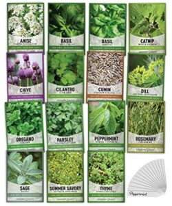 15 herb seeds for planting varieties heirloom non-gmo 5200+ seeds indoors, hydroponics, outdoors – basil, catnip, chive, cilantro, oregano, parsley, peppermint, rosemary and more by gardeners basics