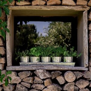 SCANDINORDICA Galvanized Herb Planter – 5 Herb Pots with Drainage Holes and Tray, Windowsill Planter, Indoor Herb Garden Planter Outdoor, Herb Pots for Indoor Plants | Windowsill Herb Garden