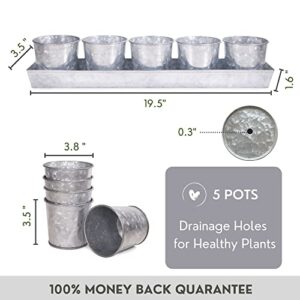 SCANDINORDICA Galvanized Herb Planter – 5 Herb Pots with Drainage Holes and Tray, Windowsill Planter, Indoor Herb Garden Planter Outdoor, Herb Pots for Indoor Plants | Windowsill Herb Garden