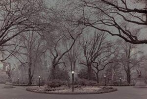 the end #1, from deep in a dream – central park