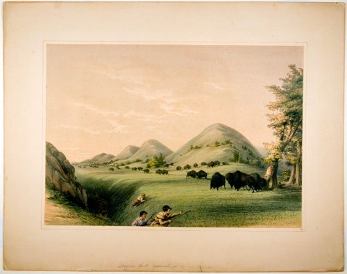 [Buffalo Hunt, Approaching in a Ravine