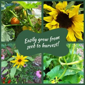 DIY Gardening Kit For Kids Girls & Boys of All Ages | Fun Craft Activity Kids Plant Growing Kit| Learn How to Grow Your Own Vegetables & Flowers with Supplies from Grow and Make| Kids Seed Growing Kit