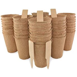 daniel’s plants 3” peat pots | plant pots for seedlings & seed starter nursery pots | organic biodegradable plant pots | eco friendly | bonus 10 wooden plant garden labels | bulk 60 pack | 3 inch