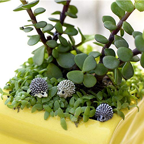 X Hot Popcorn 30 Pcs Mini Hedgehog Figurines, Miniature Moss Landscape DIY Garden Decor