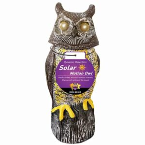 owlsome solar owl with flashing eyes, rotating head, hoot sound, motion detector and silent mode, plastic owl garden sculpture, garden decoration