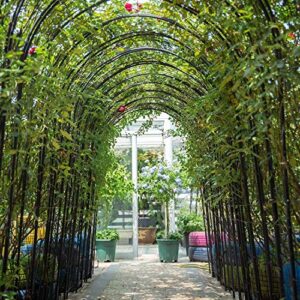 Garden Arches and Arbors Outdoor Black Metal Arbor for Climbing Plants Vines Roses Wedding Archway