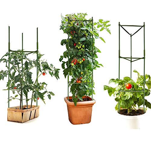 V VONTOX Garden Plant Cage Support Tomato Cage for Vertical Climbing Plants, Vegetables Cages, 3 Pack, Include Garden Ties and Nylon Cable Ties