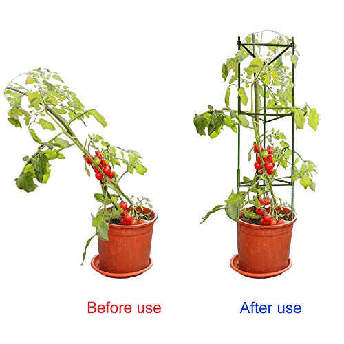 V VONTOX Garden Plant Cage Support Tomato Cage for Vertical Climbing Plants, Vegetables Cages, 3 Pack, Include Garden Ties and Nylon Cable Ties