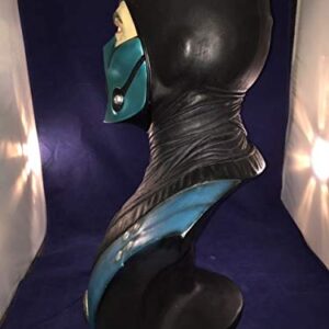 Sub Zero Sideshow Life Size Bust by PCS Collectibles Mortal Kombat Signed by Jerry Malcaluso w/Box Pop Culture Shock LE AP/100