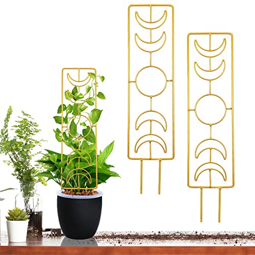 2 Pack Large Moon Phase Plant Trellis, 17.32 Inches Gold Metal Plant Trellis for Garden Indoor Climbing Plants, Climbing Plant Support for Potted Plants Houseplant Monstera Plant Ivy Vine