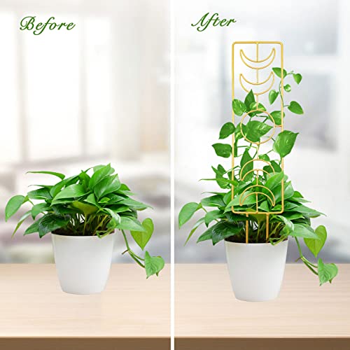 2 Pack Large Moon Phase Plant Trellis, 17.32 Inches Gold Metal Plant Trellis for Garden Indoor Climbing Plants, Climbing Plant Support for Potted Plants Houseplant Monstera Plant Ivy Vine