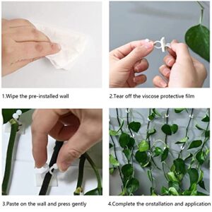 Plant Climbing Wall Fixture Clips,100Pcs Plant Fixer Self-Adhesive Hook,Garden Vegetable Plant Support Binding Clip Invisible Wall Vines,Fixture Wall Sticky Hook Fixing Clip Vines Holder (B-100 Pcs)