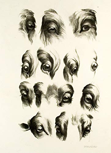 [Illustration of 14 Goat, Sheep and Ram Eyes]