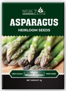 asparagus seeds for planting, 50 mary washington garden vegetable seeds, heirloom variety, open pollinated, non-gmo