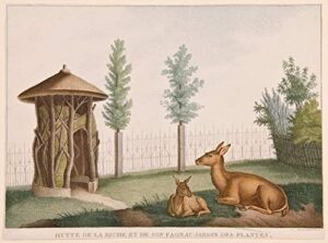 [set of four prints of animals in the ‘jardin des plantes’ in paris]