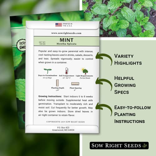 Sow Right Seeds - Mint Seed for Planting - Non-GMO Heirloom Seeds - Instructions to Plant and Grow an Herbal Tea Garden, Indoors or Outdoor; Great Gardening Gift (1)