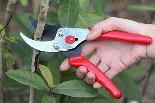 FLORA GUARD - 8.5Inch Traditional Bypass Pruning Shears - Professional Tree and Branch Garden Pruner