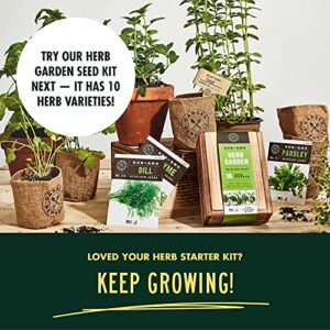 Indoor Herb Garden Starter Kit - Heirloom, Non-GMO Herb Seeds - Basil Thyme Parsley Cilantro Seed, Potting Soil, Pots, Scissors - DIY Grow Kits for Growing Herbs Indoors, Kitchen, Balcony, Window Sill