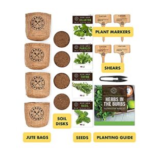 Indoor Herb Garden Starter Kit - Heirloom, Non-GMO Herb Seeds - Basil Thyme Parsley Cilantro Seed, Potting Soil, Pots, Scissors - DIY Grow Kits for Growing Herbs Indoors, Kitchen, Balcony, Window Sill