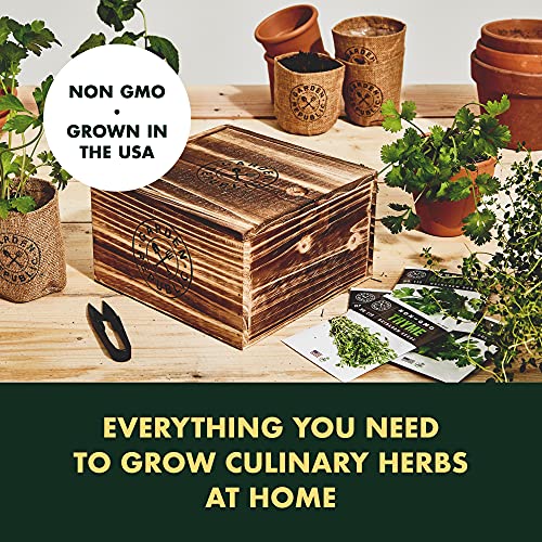 Indoor Herb Garden Starter Kit - Heirloom, Non-GMO Herb Seeds - Basil Thyme Parsley Cilantro Seed, Potting Soil, Pots, Scissors - DIY Grow Kits for Growing Herbs Indoors, Kitchen, Balcony, Window Sill