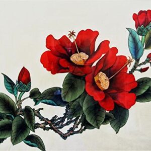 Red Camellia