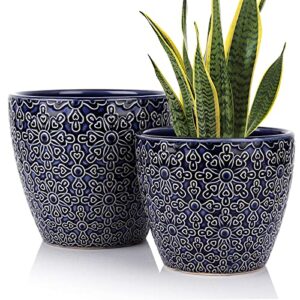 deecoo 2 pack ceramic plant pots indoor, flower pot set 5.5 + 6.5 inch, blue planters for plants, clay plant pots with drainage hole for snake plants, orchid, succulent, cactus – outdoor garden pots