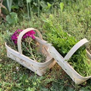 BERT'S GARDEN Farm Stand Nesting Baskets with Handles, Produce Baskets, Natural Wooden Baskets, Use as a Planter, Make Gift Baskets 2 Pack