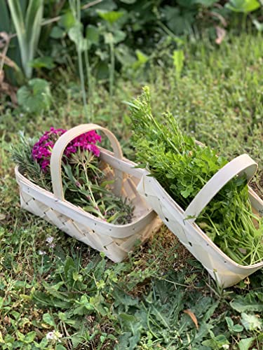 BERT'S GARDEN Farm Stand Nesting Baskets with Handles, Produce Baskets, Natural Wooden Baskets, Use as a Planter, Make Gift Baskets 2 Pack