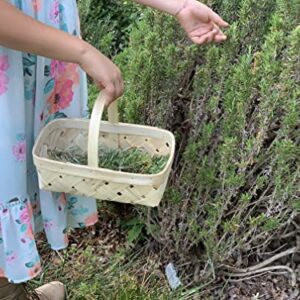 BERT'S GARDEN Farm Stand Nesting Baskets with Handles, Produce Baskets, Natural Wooden Baskets, Use as a Planter, Make Gift Baskets 2 Pack