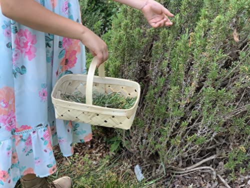 BERT'S GARDEN Farm Stand Nesting Baskets with Handles, Produce Baskets, Natural Wooden Baskets, Use as a Planter, Make Gift Baskets 2 Pack