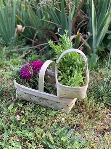 BERT'S GARDEN Farm Stand Nesting Baskets with Handles, Produce Baskets, Natural Wooden Baskets, Use as a Planter, Make Gift Baskets 2 Pack