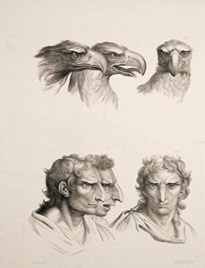 [illustration of physiognomic resemblance between a man and an eagle]