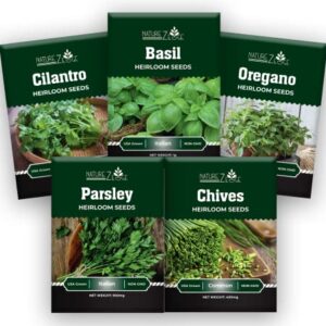 5 Herb Seeds Variety Kit, Oregano, Cilantro, Parsley, Basil, Chives