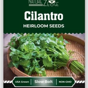 5 Herb Seeds Variety Kit, Oregano, Cilantro, Parsley, Basil, Chives