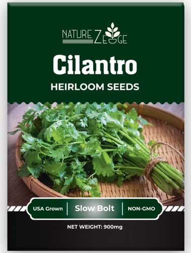 5 Herb Seeds Variety Kit, Oregano, Cilantro, Parsley, Basil, Chives