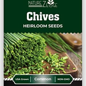 5 Herb Seeds Variety Kit, Oregano, Cilantro, Parsley, Basil, Chives