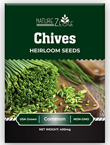 5 Herb Seeds Variety Kit, Oregano, Cilantro, Parsley, Basil, Chives